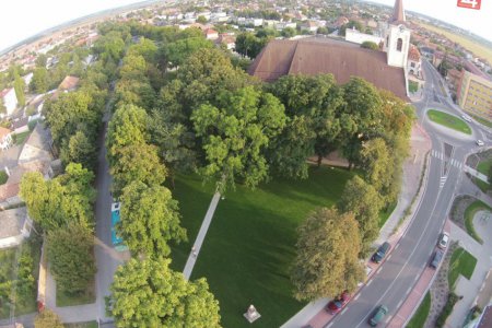 Dvory nad Žitavou ožívajú: V obci pribudla nová zeleň…