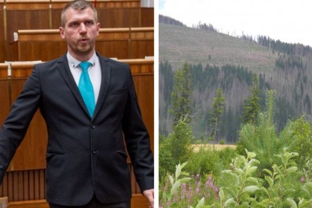 Situácia s lykožrútom je VÁŽNEJŠIA, hovorí Kuffa:…